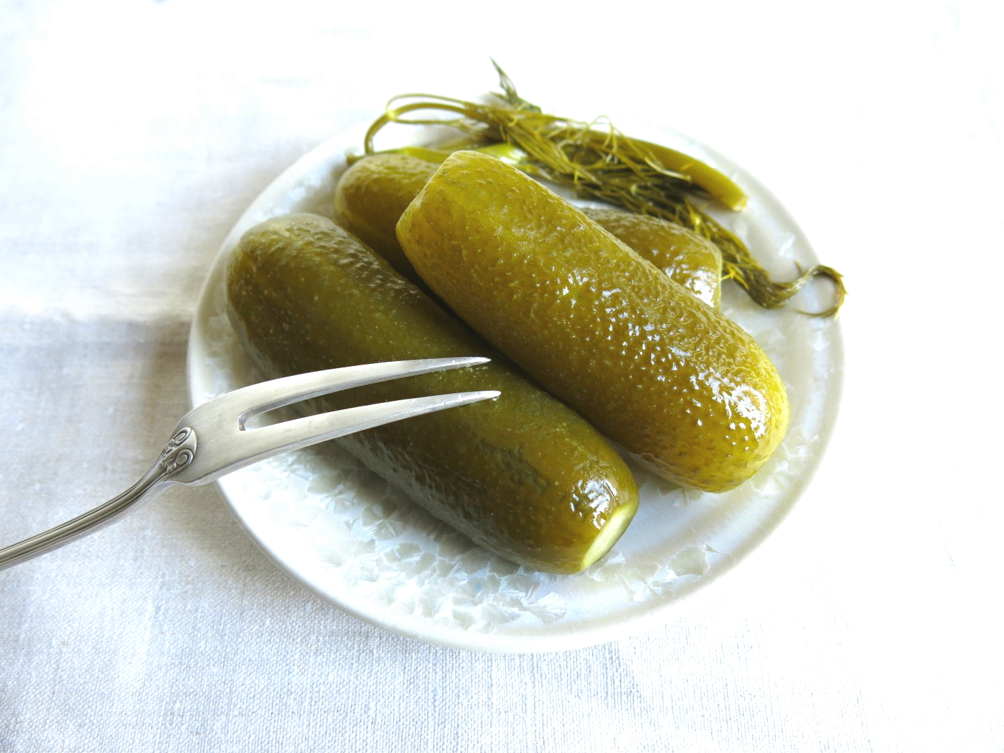 Salzgurken fermentieren: Erfahrungen, Tipps und Tricks